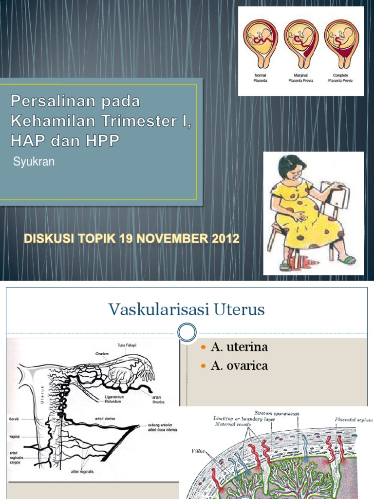 HAP dan HPP dalam Kebidanan | PDF