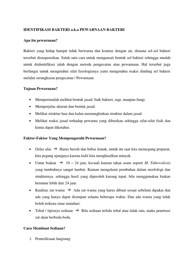 Identifikasi Bakteri | PDF