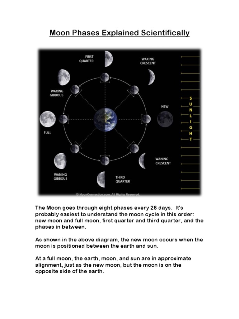 Moon Phases Explained Scientifically.pdf | Moon | Tide