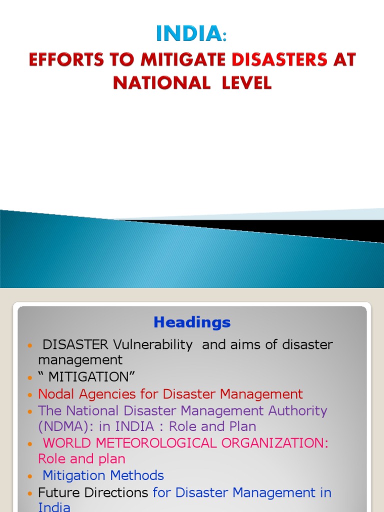 Disaster Mitigation Plan