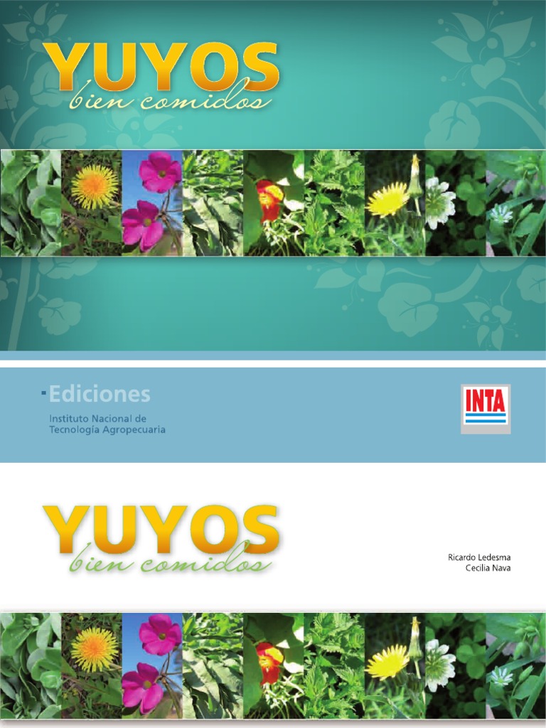 Yuyos Bien Comidos | PDF | ensalada | Vegetales