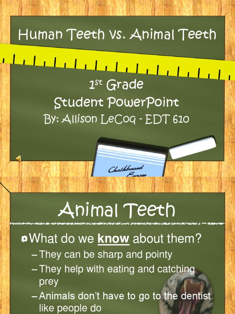 Human Teeth vs. Animal Teeth PPT (Student Version) | PDF | Tooth ...