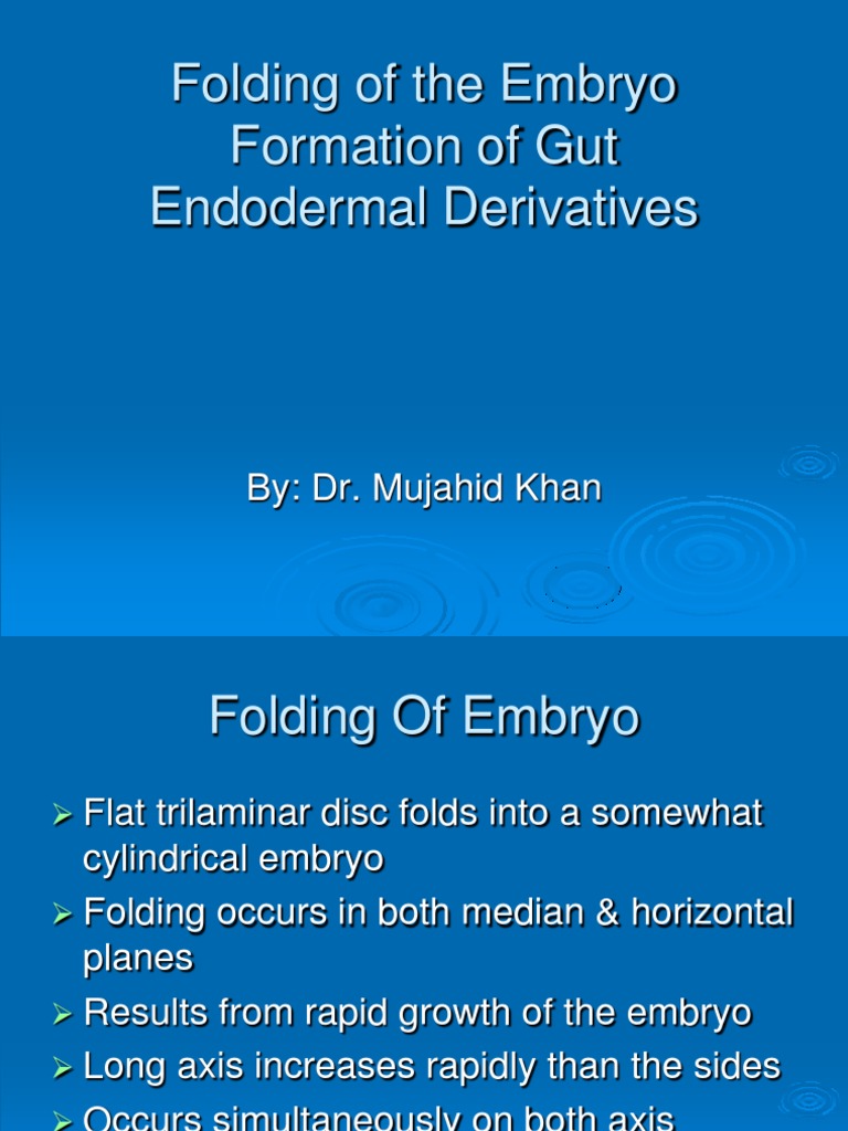 Folding of The Embryo Formation of Gut Endodermal Derivatives | PDF ...