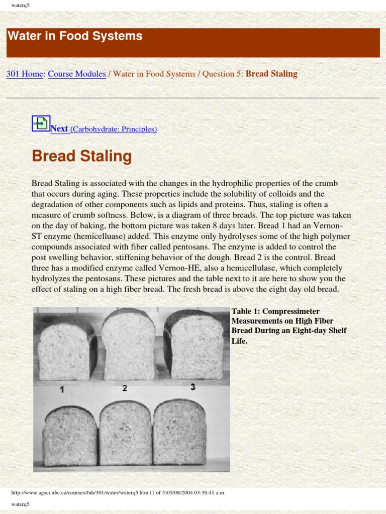 The Effects of Enzymes on Bread Staling Over Time | PDF | Breads | Starch