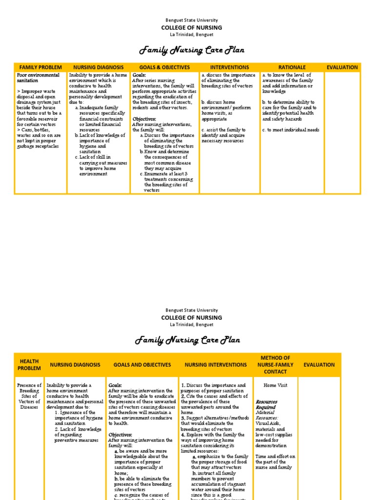 FNCP | PDF | Hygiene | Nursing