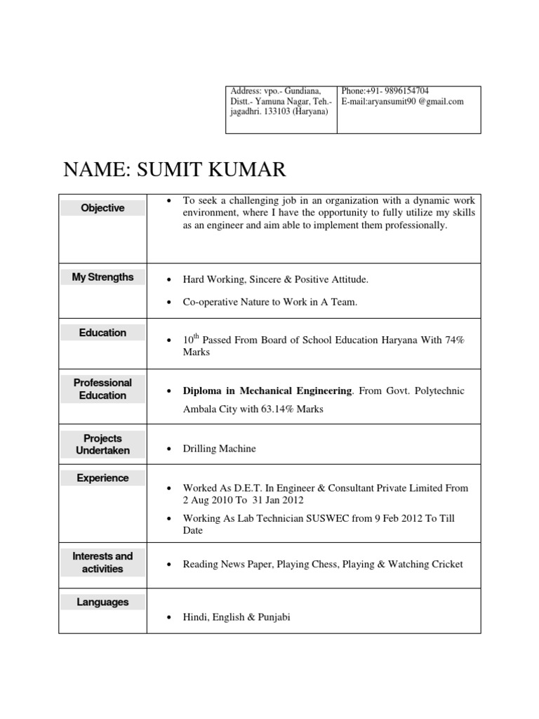 Sumit Arya Resume | PDF | Career & Growth | Business