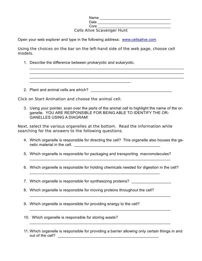 Cells Alive Scavenger Hunt Guide | PDF | Organelle | Cell (Biology)