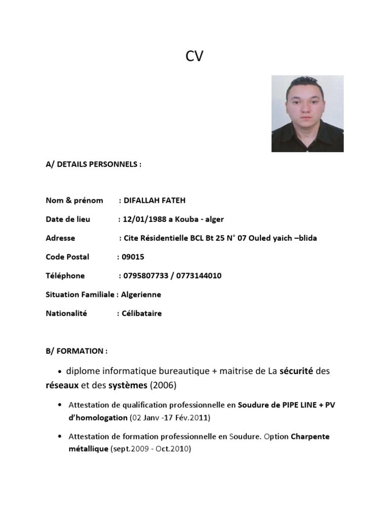 Diplome Informatique Bureautique + Maitrise de La Sécurité Des | PDF ...