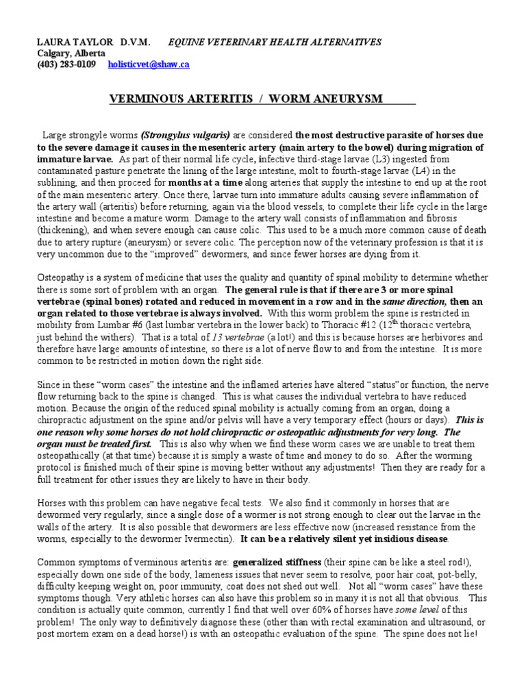 Verminous Arteritis Handout | PDF | Vertebral Column | Chiropractic