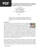 Wallumedegal Aboriginal Tribe Overview | PDF