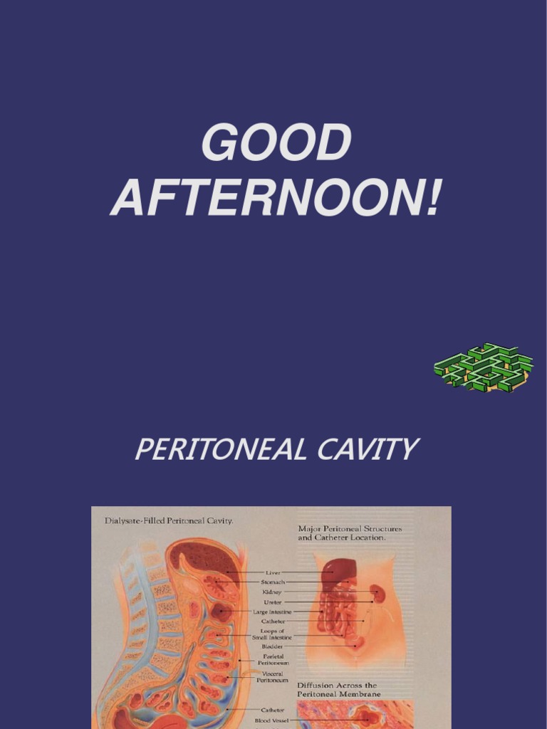 Peritoneal Cavity Powerpoint | Peritoneum | Abdomen