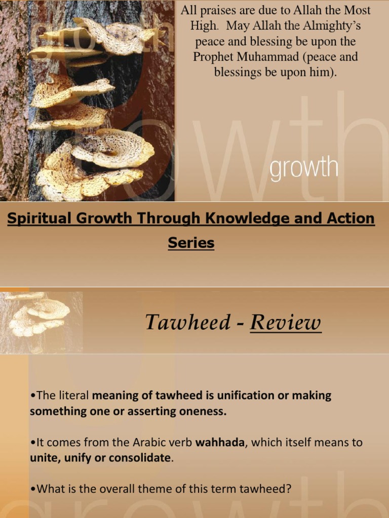 Spiritual Growth Through Knowledge and Action Series | PDF | Tawhid ...
