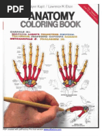 Netter's Anatomy Coloring Book | PDF