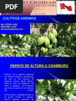 Flevomax 500mg Prospecto | PDF | Amamantamiento | El embarazo