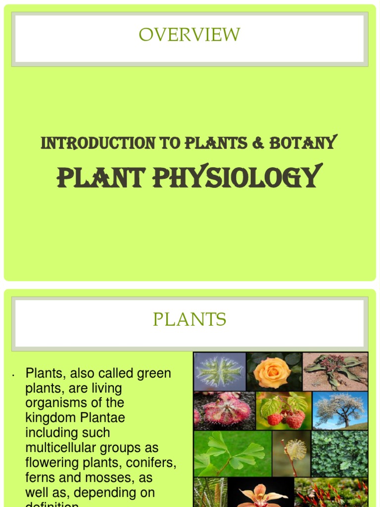 Introduction To Plant Physiology | PDF | Plant Physiology | Plants