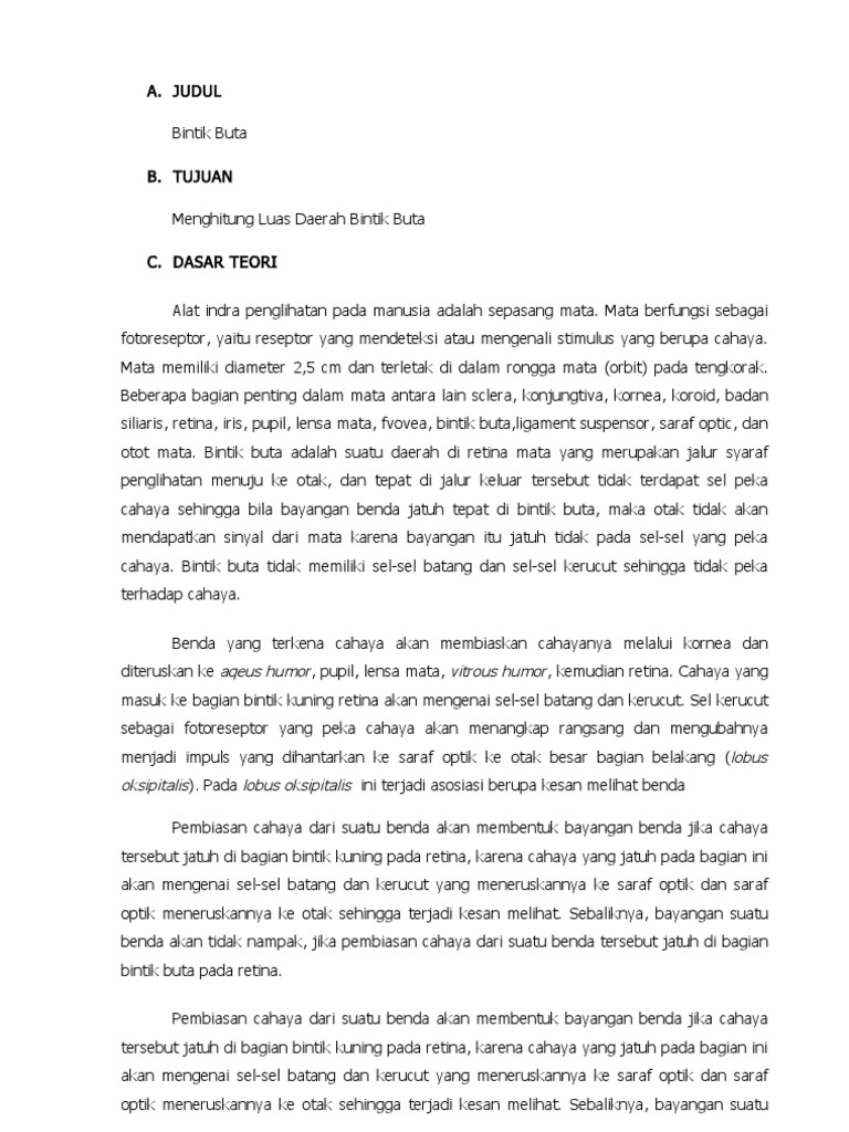 LAPORAN BIOLOGI (Daerah Bintik Buta) | PDF