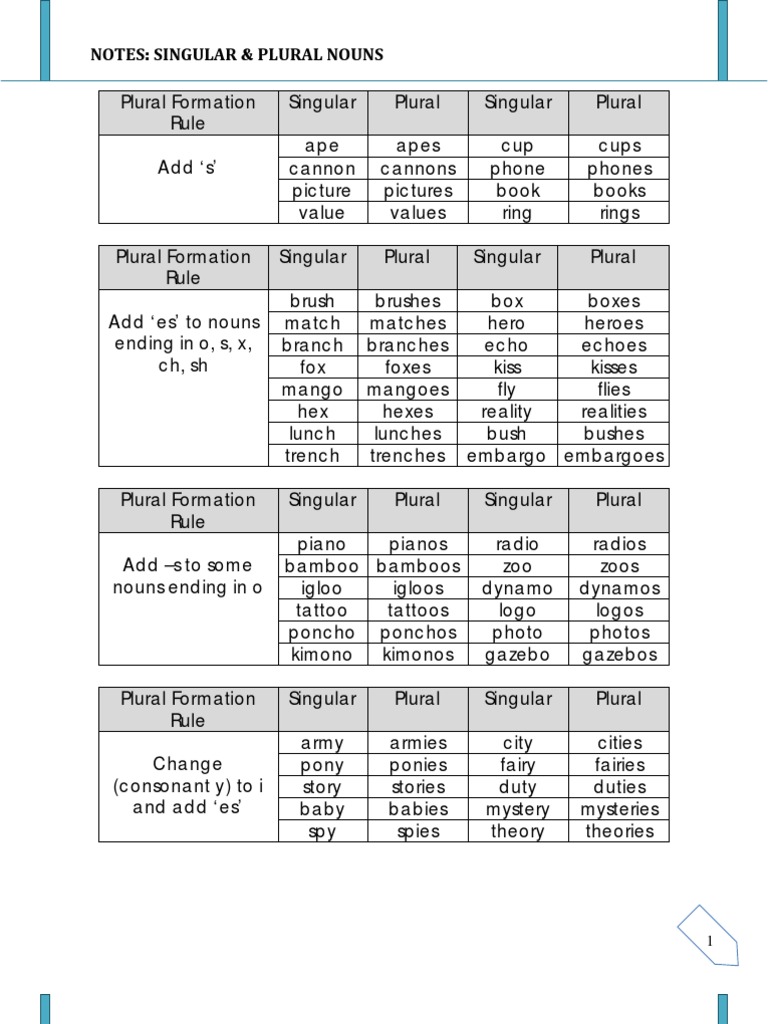 Singular & Plural Nouns - Notes | PDF | Plural | Grammatical Number