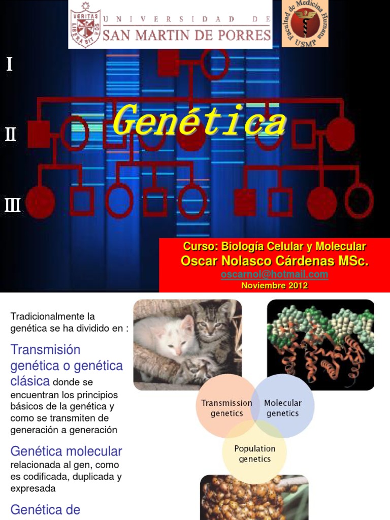 Clase 15 - Expresion Genetica | PDF | Dominancia (Genética) | Alelo