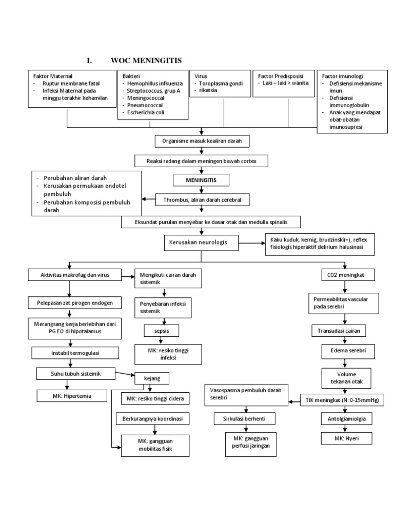 WOC Meningitis | PDF