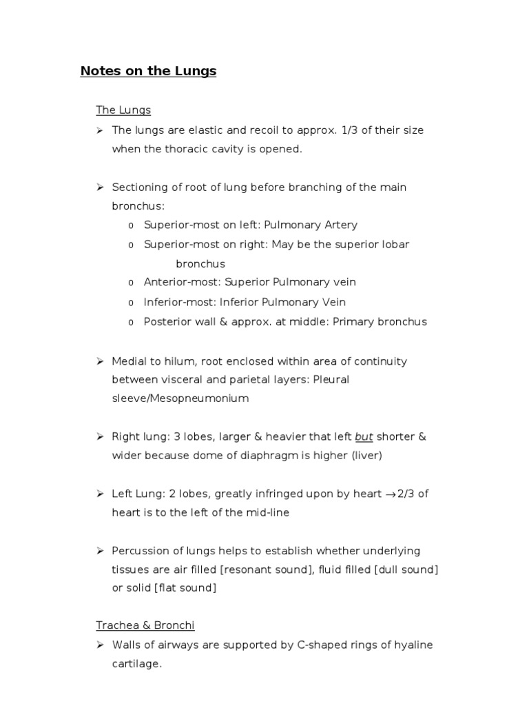 Anatomy of the Lungs and Bronchi | PDF | Respiratory Tract | Lung