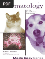 Pruritus Analog Scale 1 PVAS | PDF