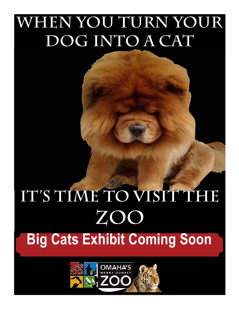 Zoo Ad | PDF