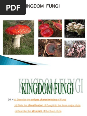 Kingdom Fungi Classification