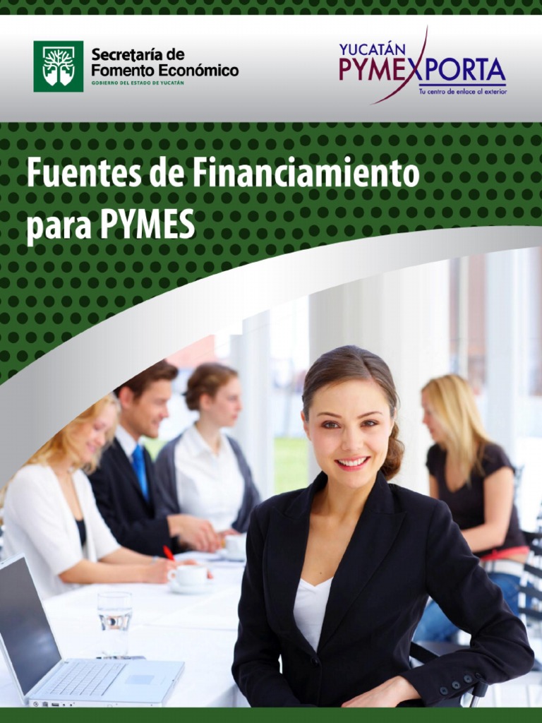 Fuentes De Financiamiento Para Pymes Pdf Pequeñas Y Medianas