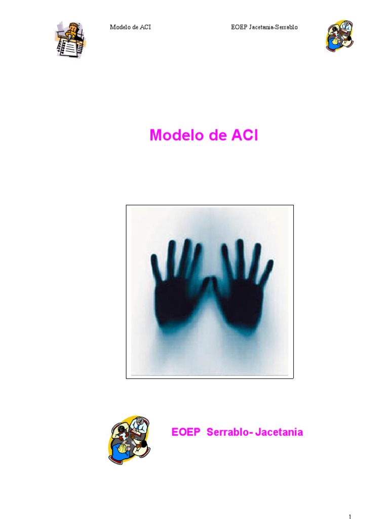 Modelo de ACI para Necesidades Educativas | PDF