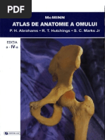 Ross - Histology-A Text and Atlas PDF | PDF