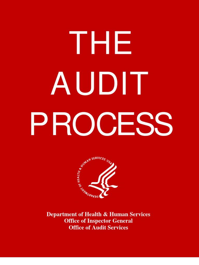 Audit Process | PDF