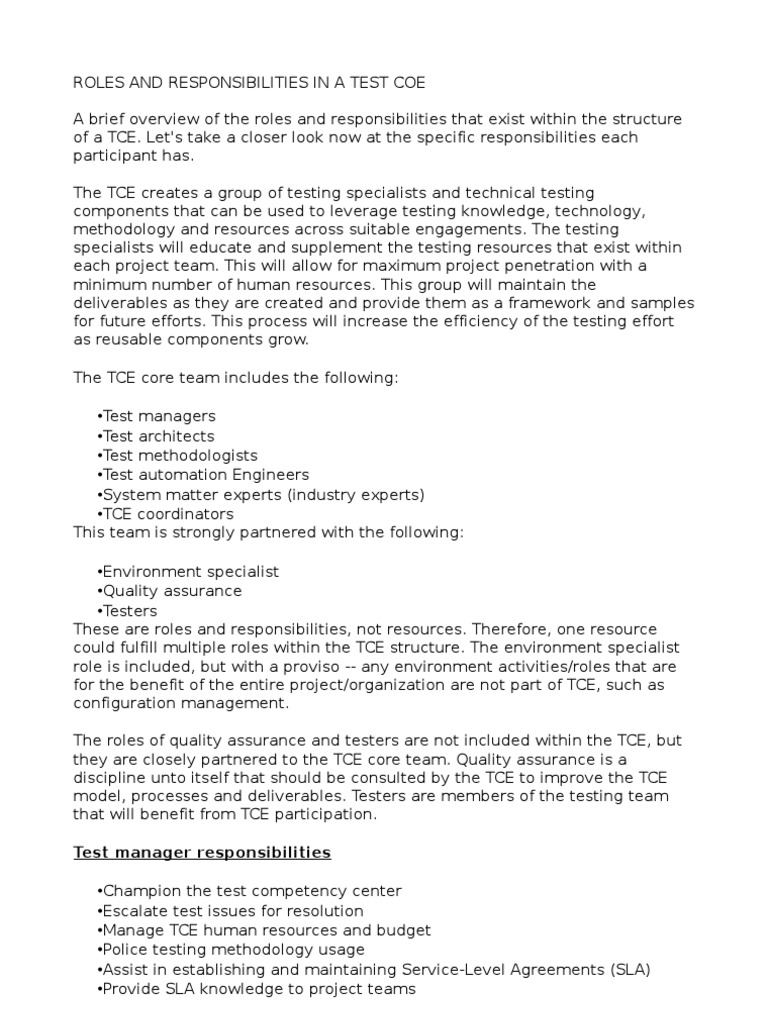 TCo E | PDF | Software Testing | Project Management