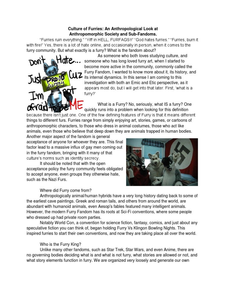 Culture of Furry & Its Sub-Fandoms | PDF