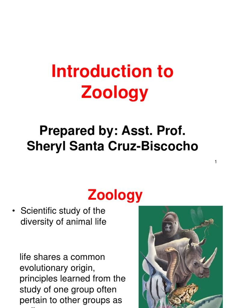 Introduction_to_Zoology | Organisms | Life