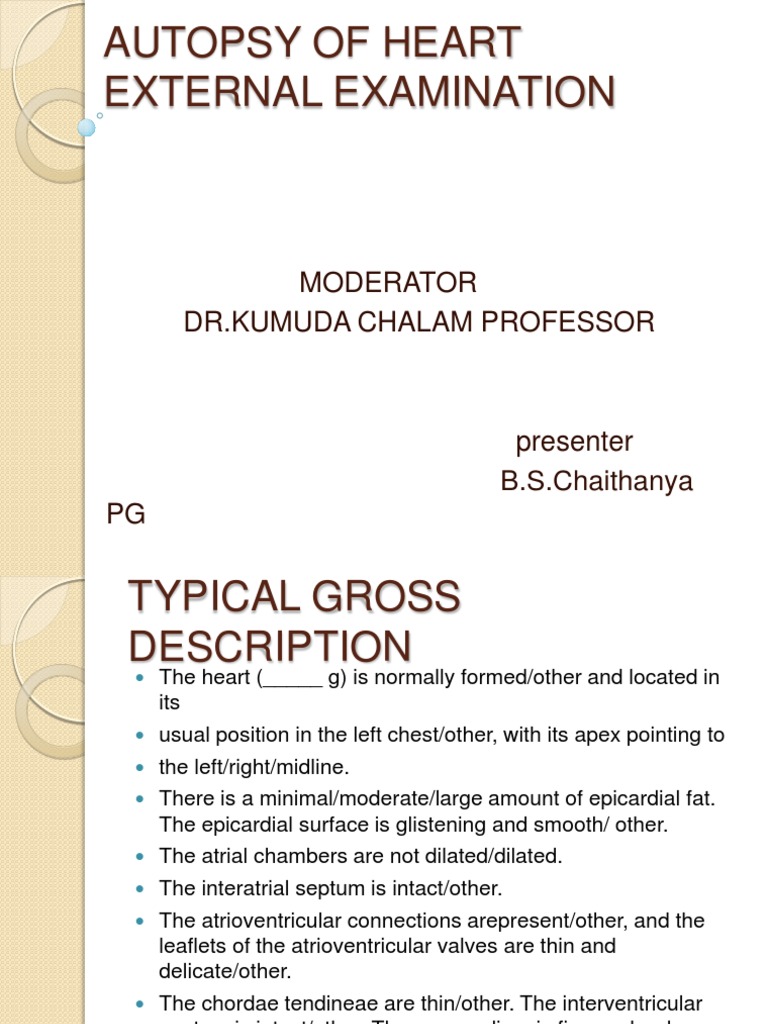 Autopsy of Heart External Examination | PDF | Coronary Circulation | Heart
