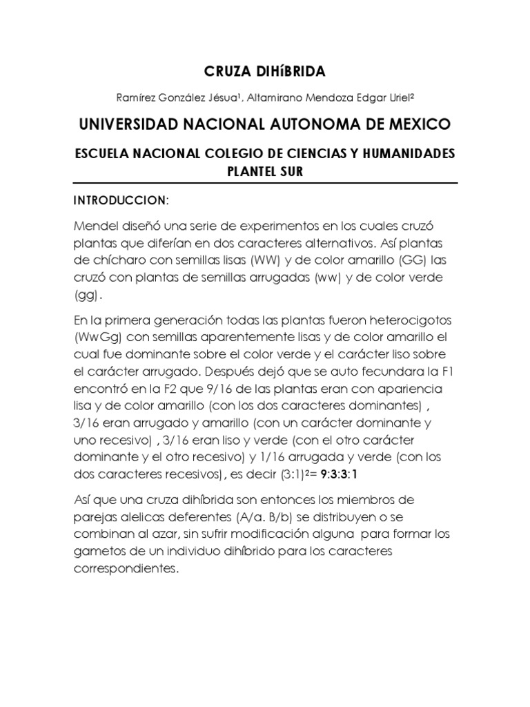 Cruza Dihíbrida en Moscas de Fruta | PDF | Dominancia (Genética) | Genética