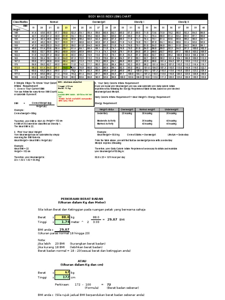 Body Mass Index (BMI) Chart | PDF | Body Mass Index | Determinants Of ...
