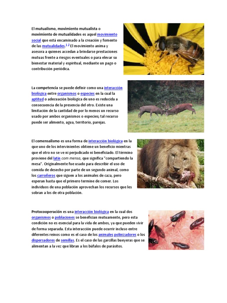 Definición Y Tipos De Mutualismo Pdf Parasitismo Depredación