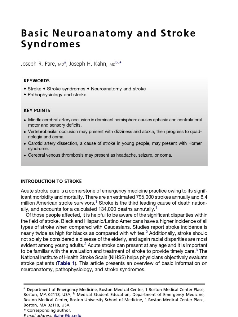Basic Neuroanatomy and Stroke Syndromes PDF | PDF | Brainstem | Stroke