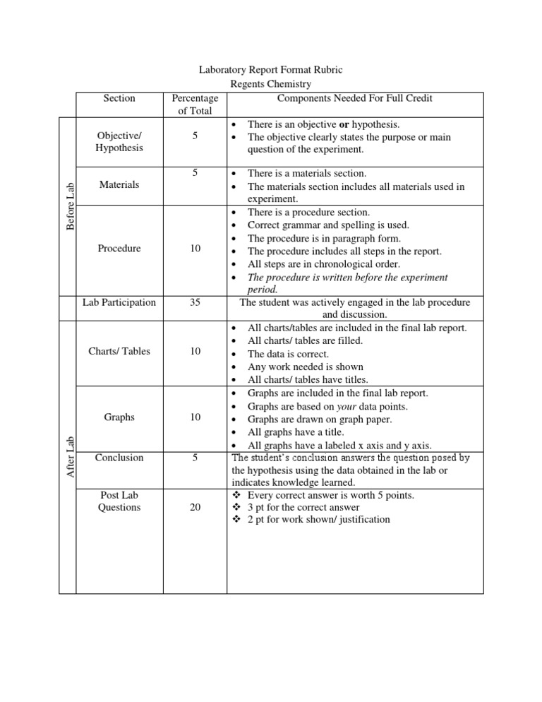 Lab Rubric | PDF