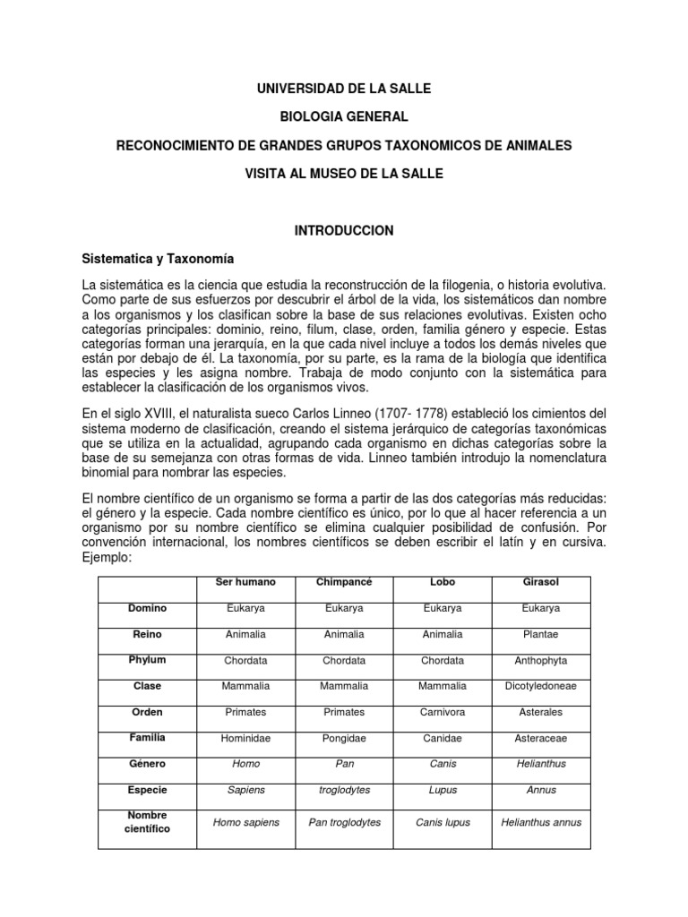 GUIA MUSEO de La Salle | PDF | Taxonomía (biología) | Biología