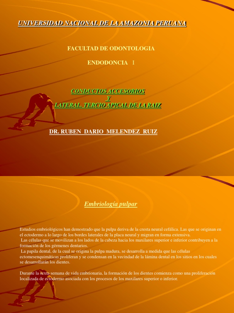 Clase IV - Conductos Accesorios y Lateral. Tercio Apical de La Raiz ...