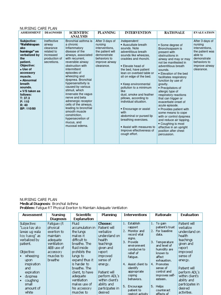 NCP | PDF | Asthma | Respiratory Tract