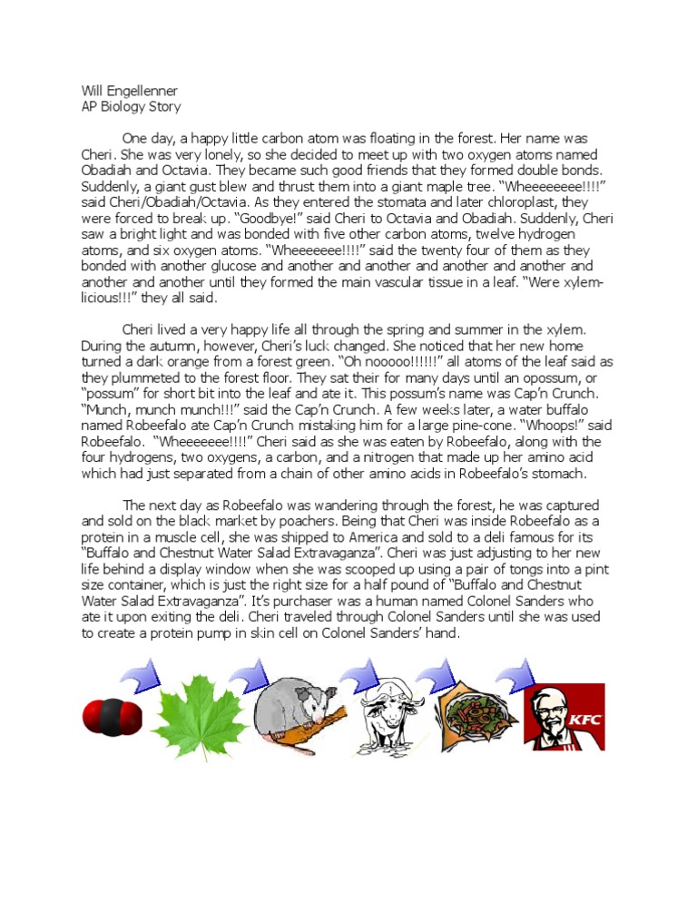 Bio Story | PDF | Leaf | Chemistry