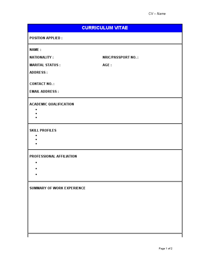 Professional CV Template Guide | PDF