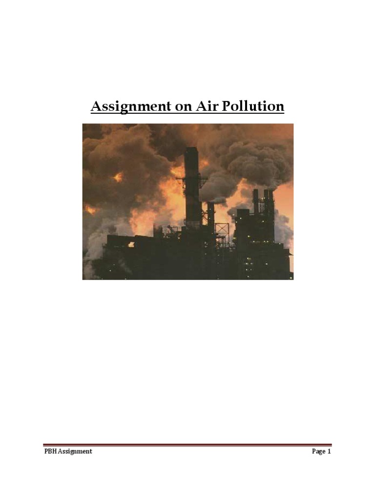 Assignment On Air Pollution | PDF | Air Pollution | Lung