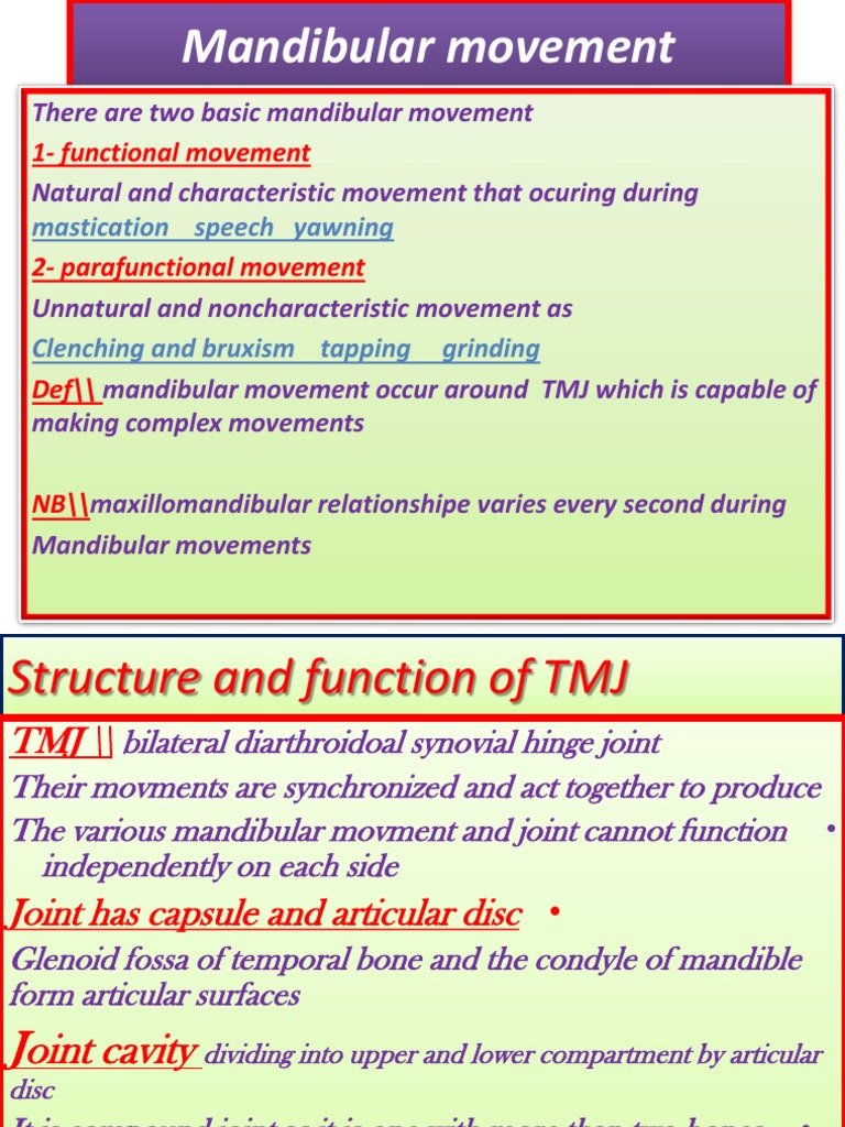 Mandibular Movement | PDF