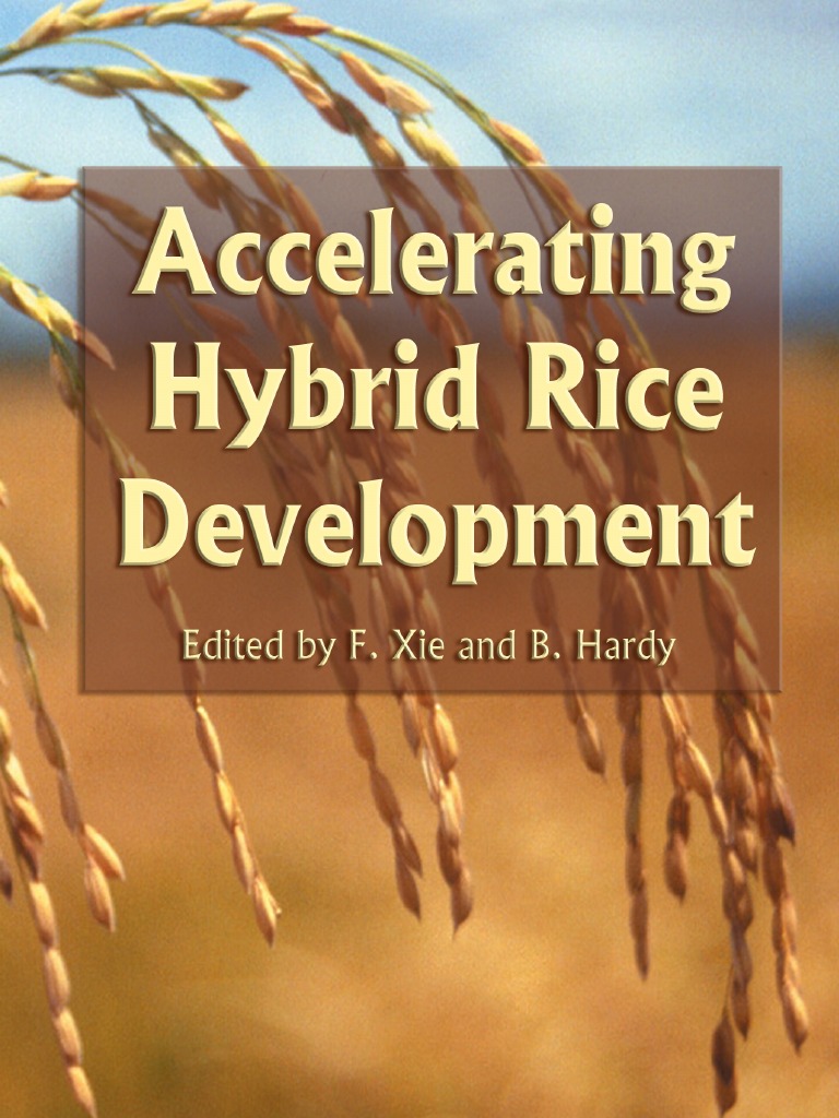 Xie - Accelerating Hybrid Rice Development | PDF | Rice | Food Security