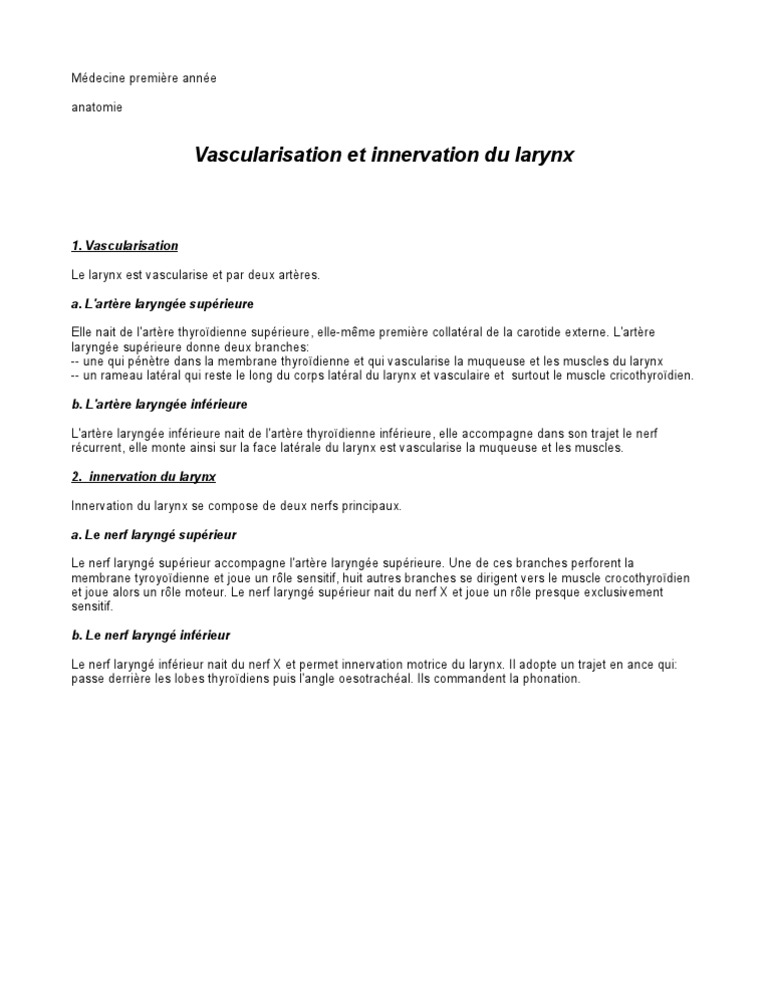 Vascularisation et innervation du larynx | PDF