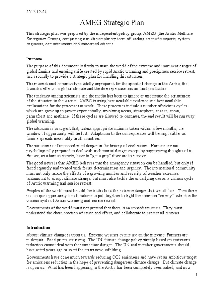 Ameg Strategic Plan | PDF
